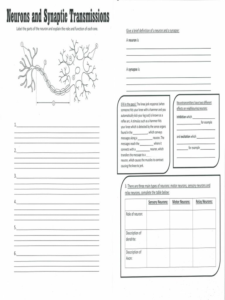 AS Recap A3 Sheet | PDF