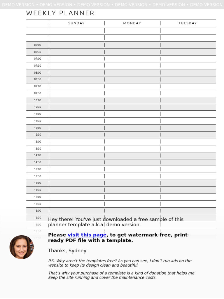 Twopage Weekly Hourly Scheduler-Remarkable-Vertical | PDF