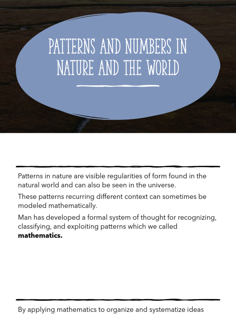 Patterns and Numbers in Nature and The World | Download Free PDF | Dune ...