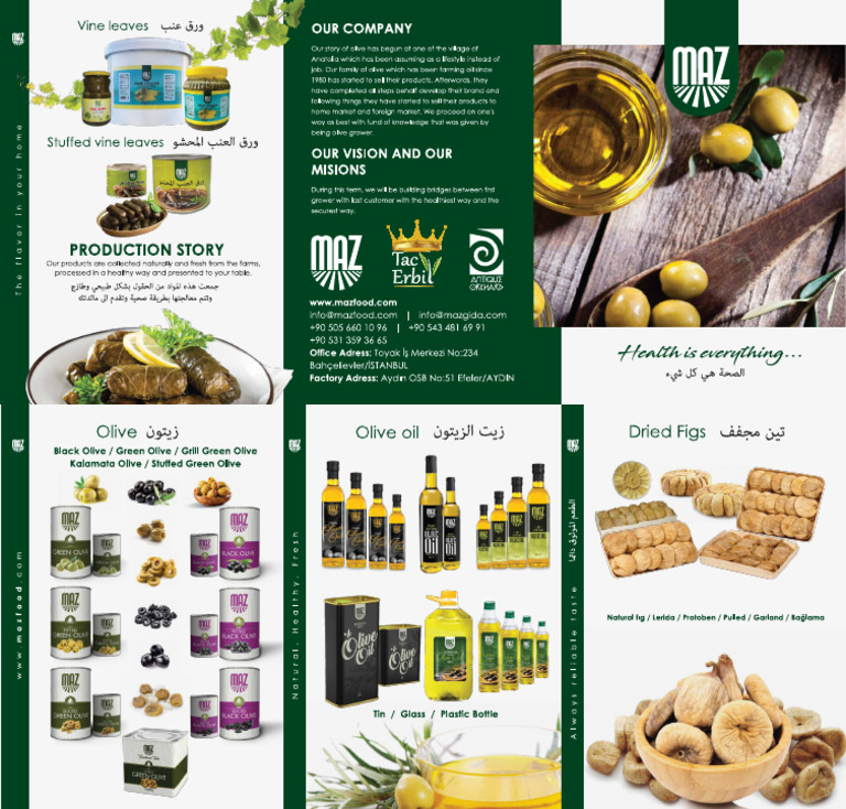 MAZ Catalogue | PDF