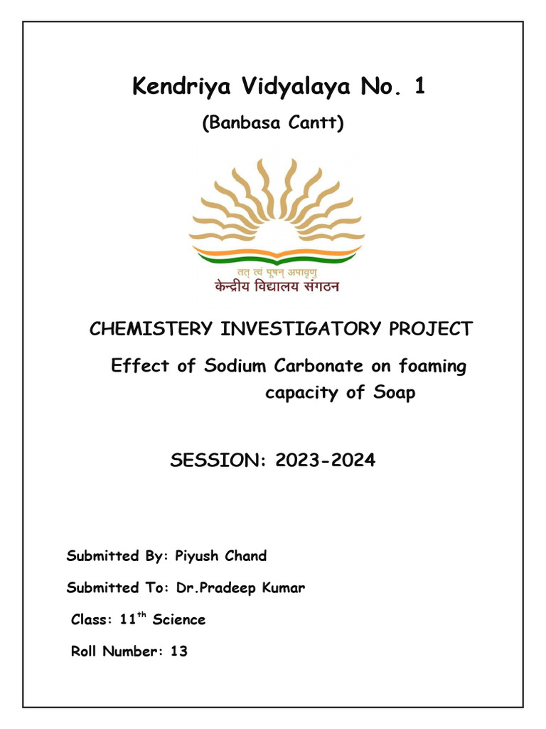 Chemistry Project Class 11th | PDF | Fatty Acid | Soap