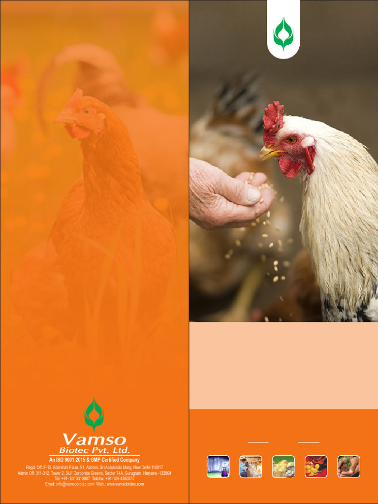 Poultry Brochure | Download Free PDF | Vitamin C | Gastrointestinal Tract