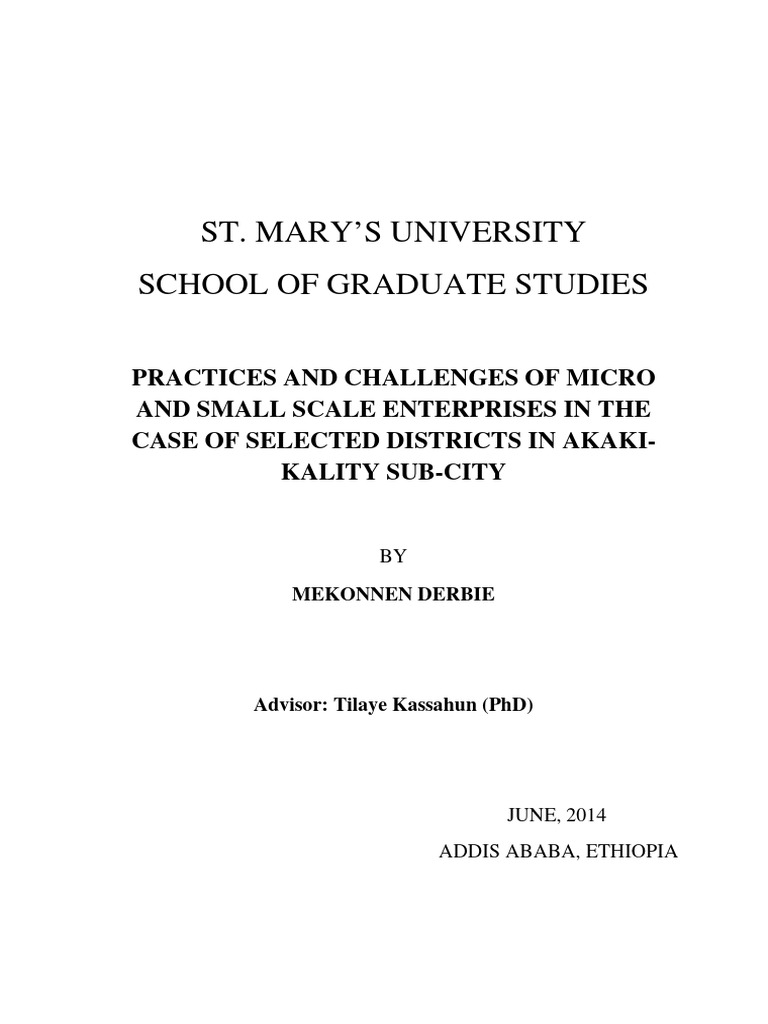 Mekonnen Derbie | PDF | Employment | Economic Growth