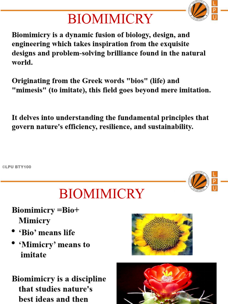Biomimicry | Download Free PDF | Mimicry | Nature