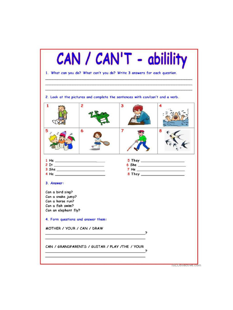 Can Exercises | PDF