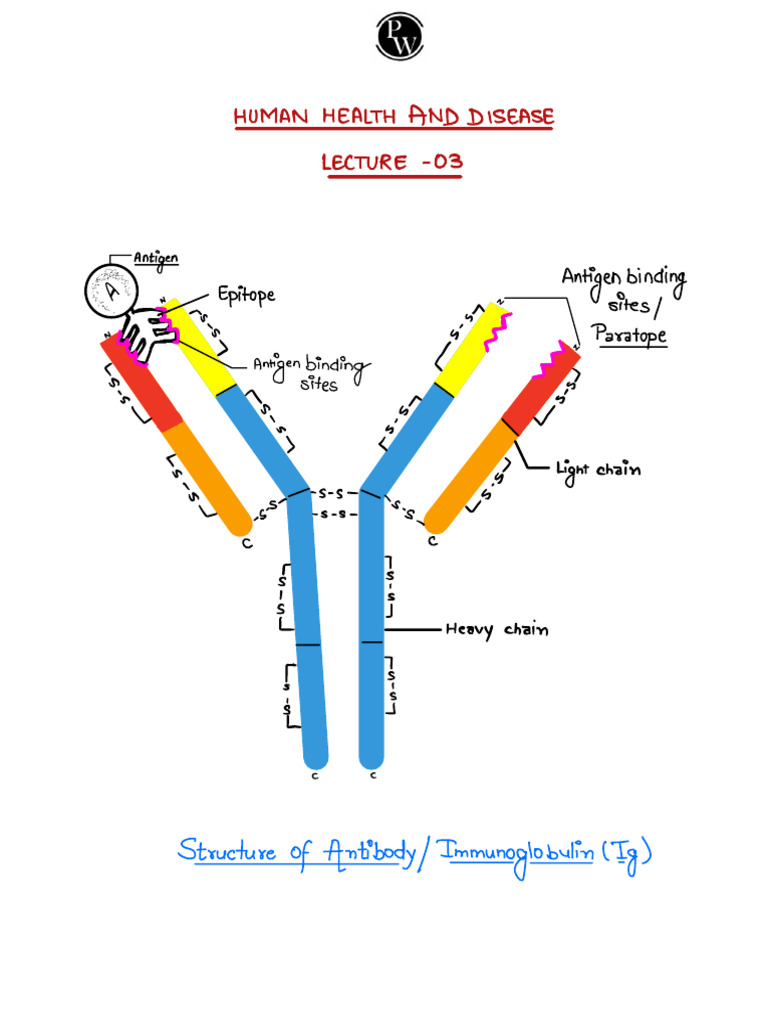 64a957e1f81b70001842ef6d - ## - Human Health and Diseases Handwritten ...