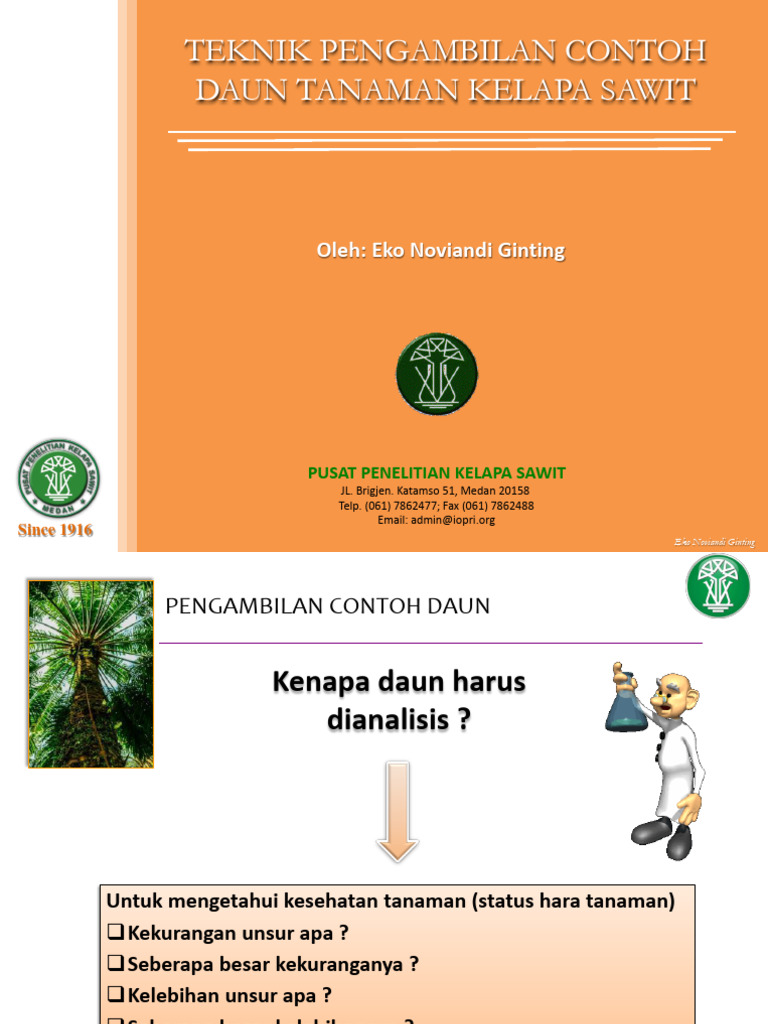 Teknik Sampling Daun Kelapa Sawit | PDF