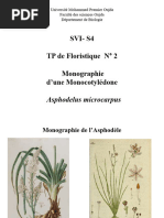 Cours 2-La Paroi Pectocellulosique PDF | PDF | Paroi cellulaire | Lignine