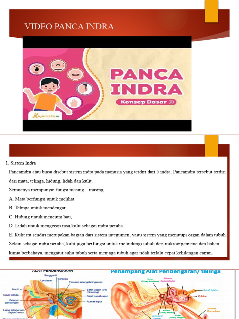 Ipas KLS 4 (Panca Indra Manusia) | PDF