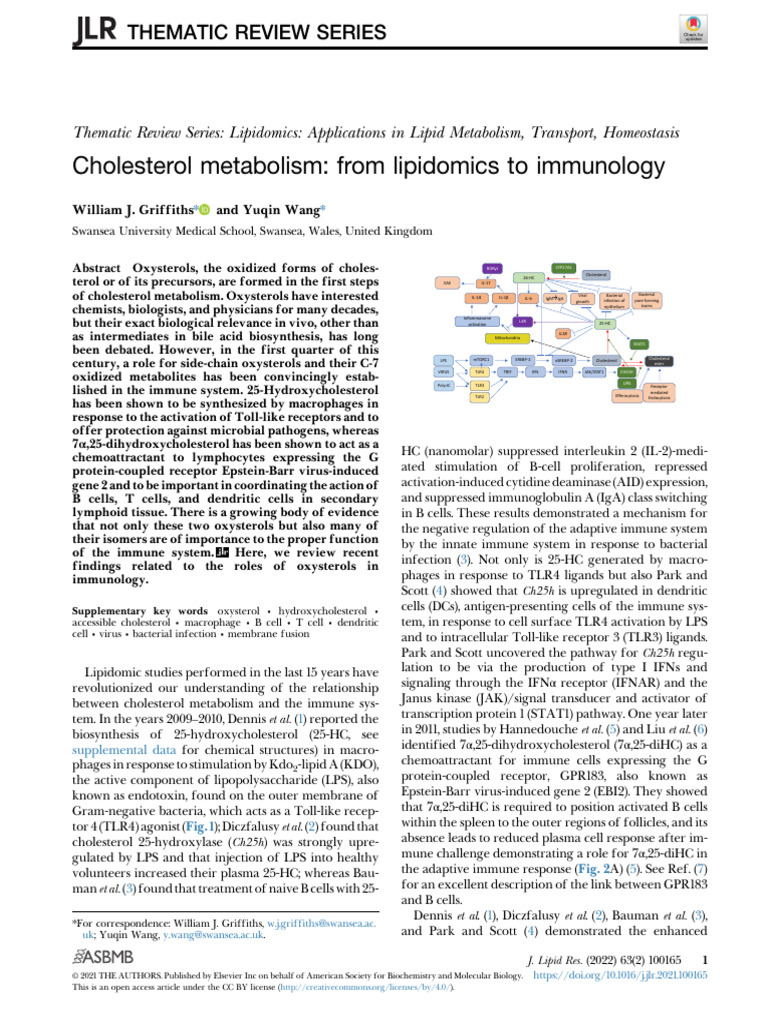 Cholesterol Metabolism From Lipidomics To Immunology - Best Decription ...