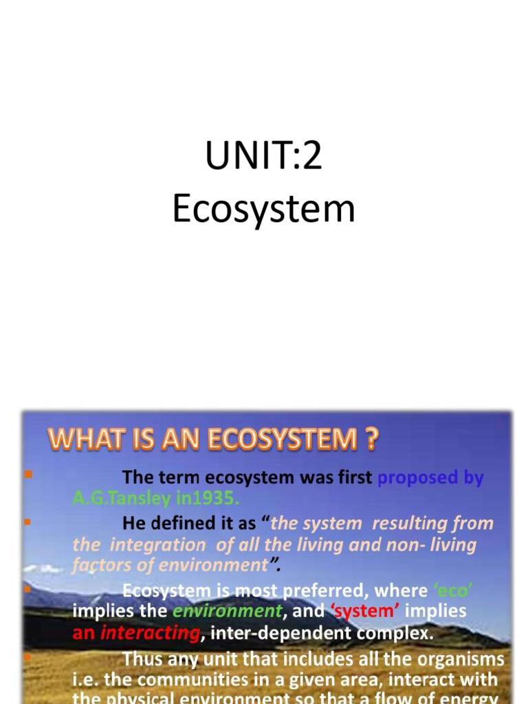 Unit 2 ECOSYSTEM | PDF