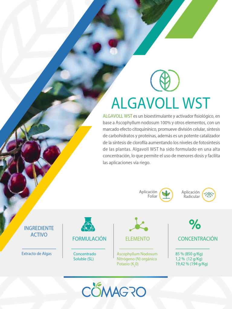 04 - Ficha Tecnica Algavoll WST | PDF | Plantas | Química