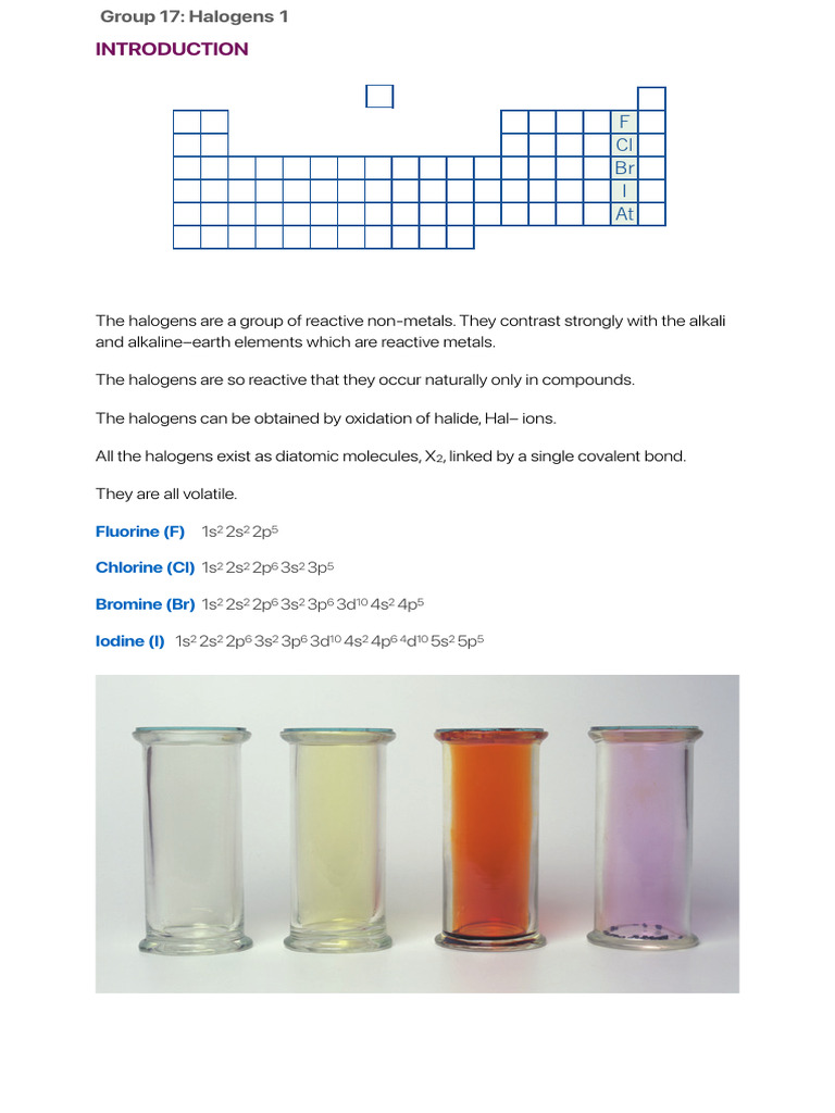 14 Group 17 Notes | PDF | Chlorine | Iodine