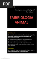Desarrollo Animal: Etapas Clave | PDF | Zoología | Ciencias de la vida