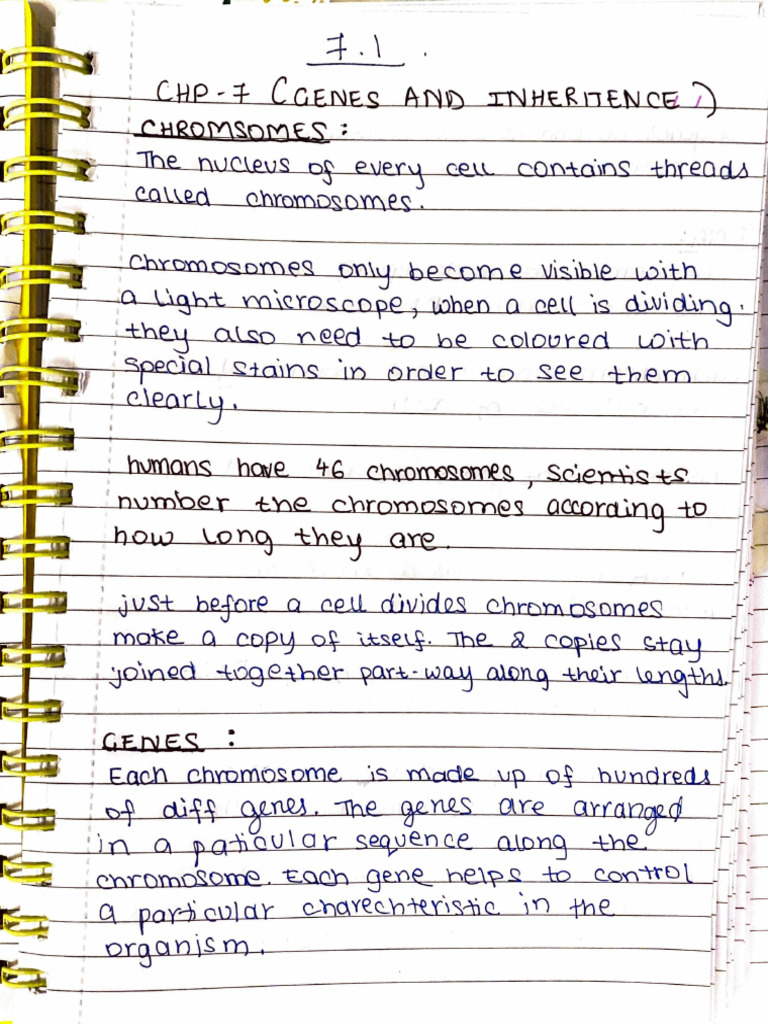 Bio Notes | PDF