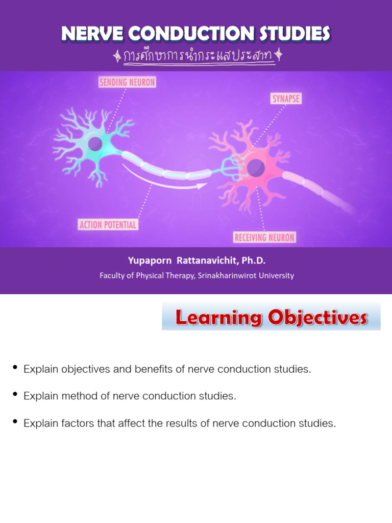 NCV - Nerve Conduction Velocity | PDF