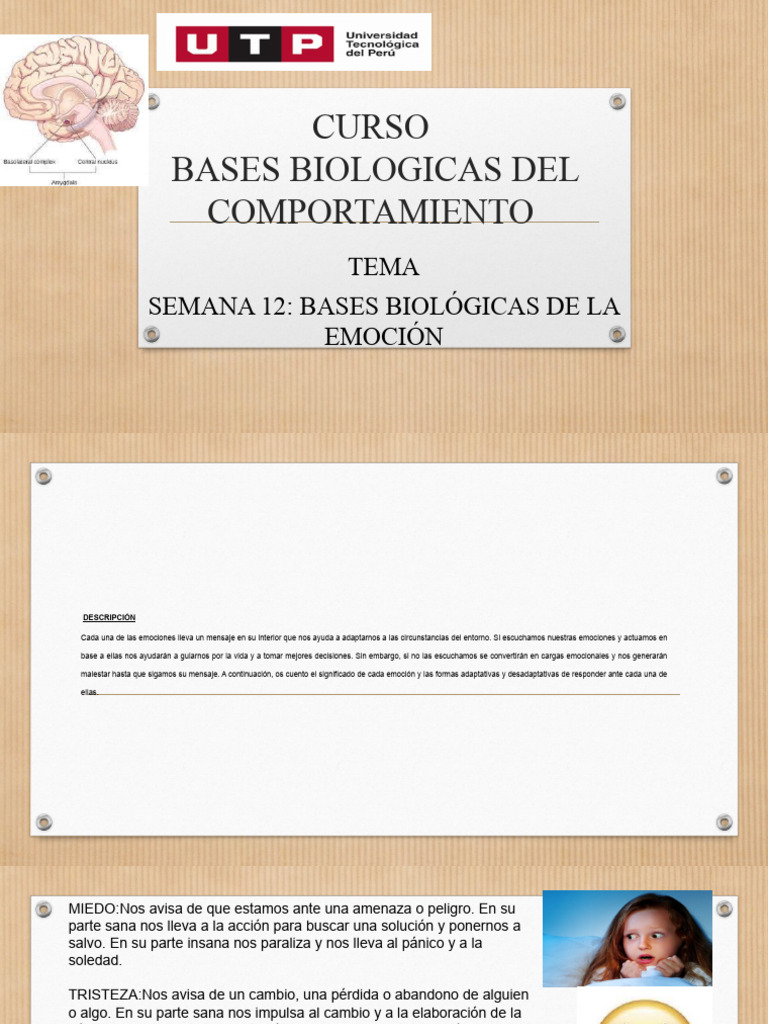 Bases Biologicas | PDF | Self-Improvement