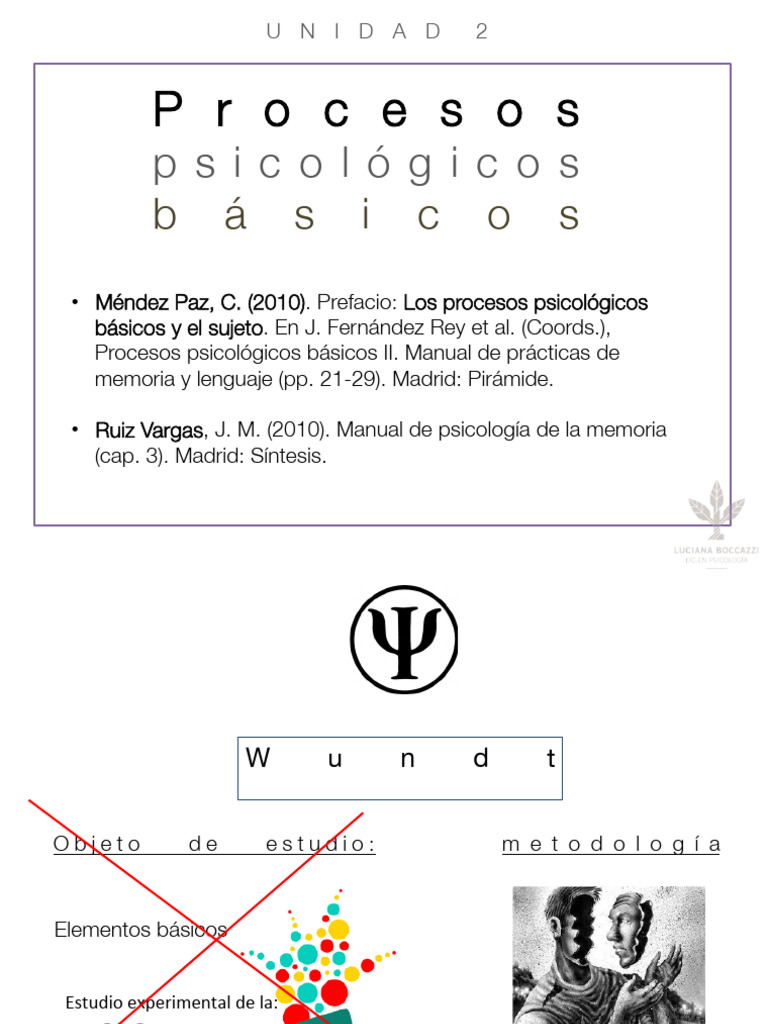 Procesos Basicos | PDF | Mente | Sicología