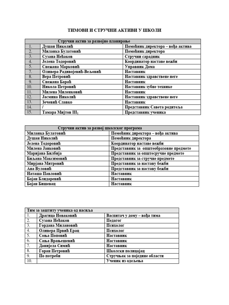 Timovi I Stručni Aktivi U Školi | PDF