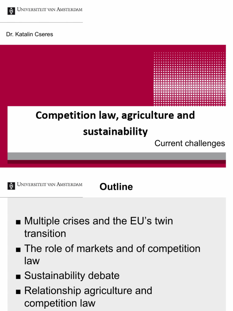 Current Challanges.2023 (Kati Cseres's Conflicted Copy 2023-04-17 ...