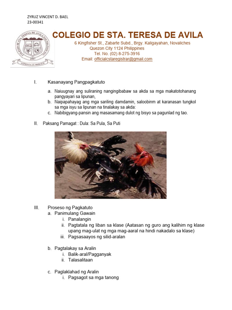 Sa Pula Sa Puti Lesson Plan - Bael | PDF