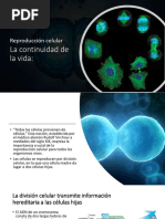 Clase#2 Dotación Cromosomica. | PDF | Cromosoma | Biología Celular)