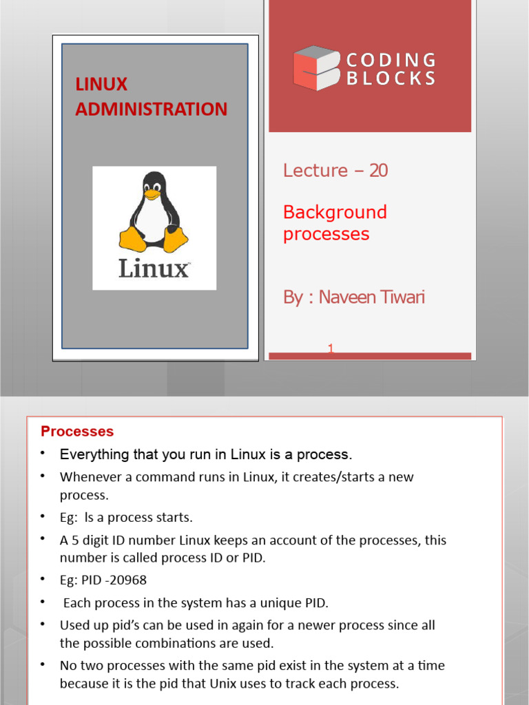 Linux Lecture 20 Pdf Process Computing Sudo