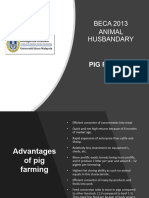Hog RAISING | PDF | Domestic Pig | Pig