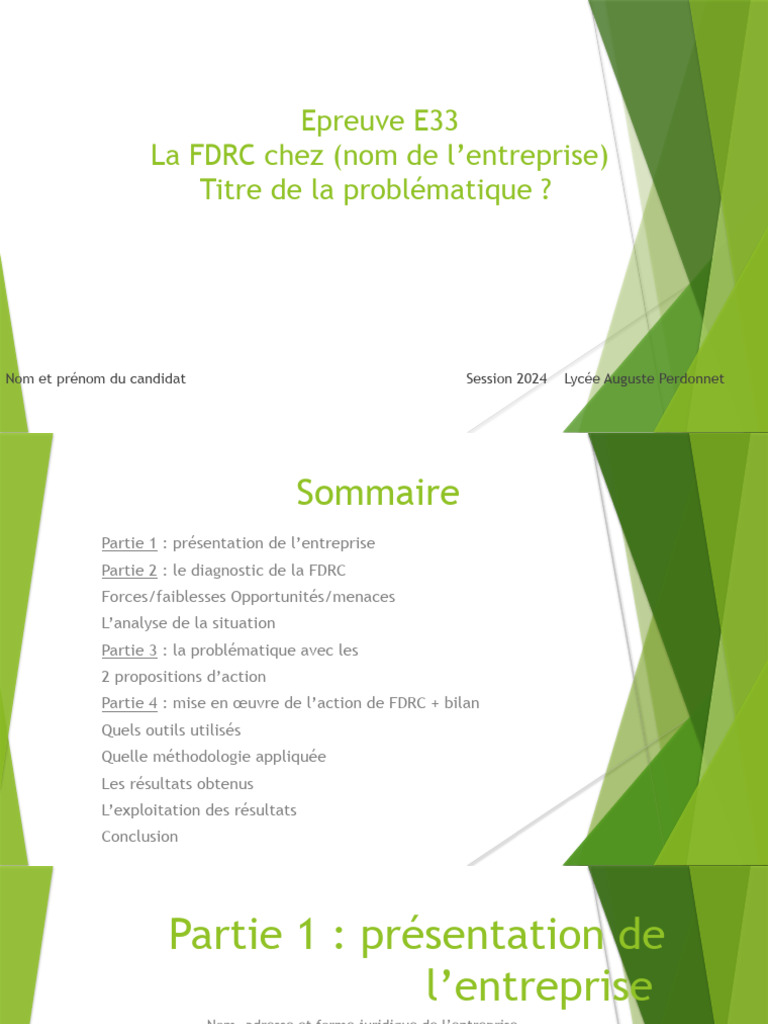 CCF FDRC E33 Matrice | PDF | Analyse SWOT | Secteur privé