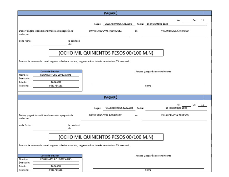 Modelo de Pagare en Word | PDF