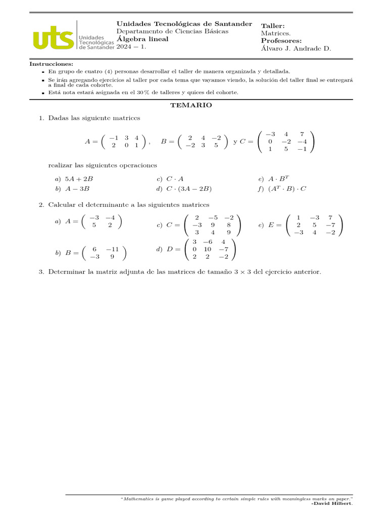 Taller Matrices Uts | PDF | Matriz (Matemáticas) | Matemáticas