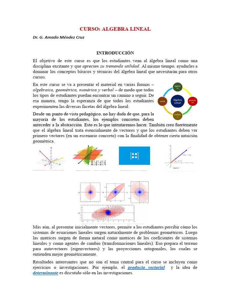 Curso de Álgebra Lineal Moderno | PDF | Álgebra lineal | Espacio vectorial