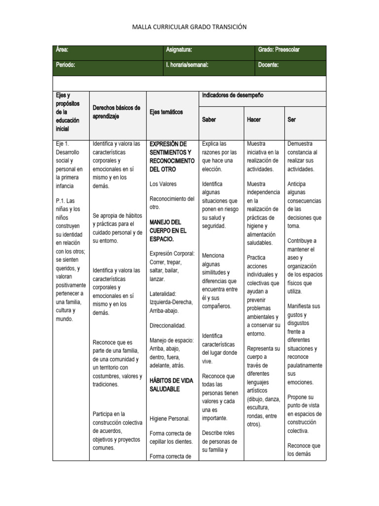 Malla Curricular Preescolar | PDF | Educación de la primera infancia