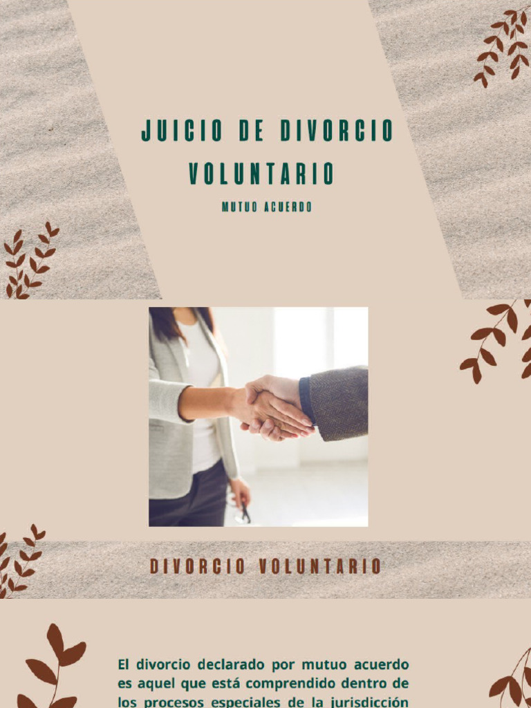 Victoria Rizo Teoria Del Proceso Divorcio Voluntario | PDF