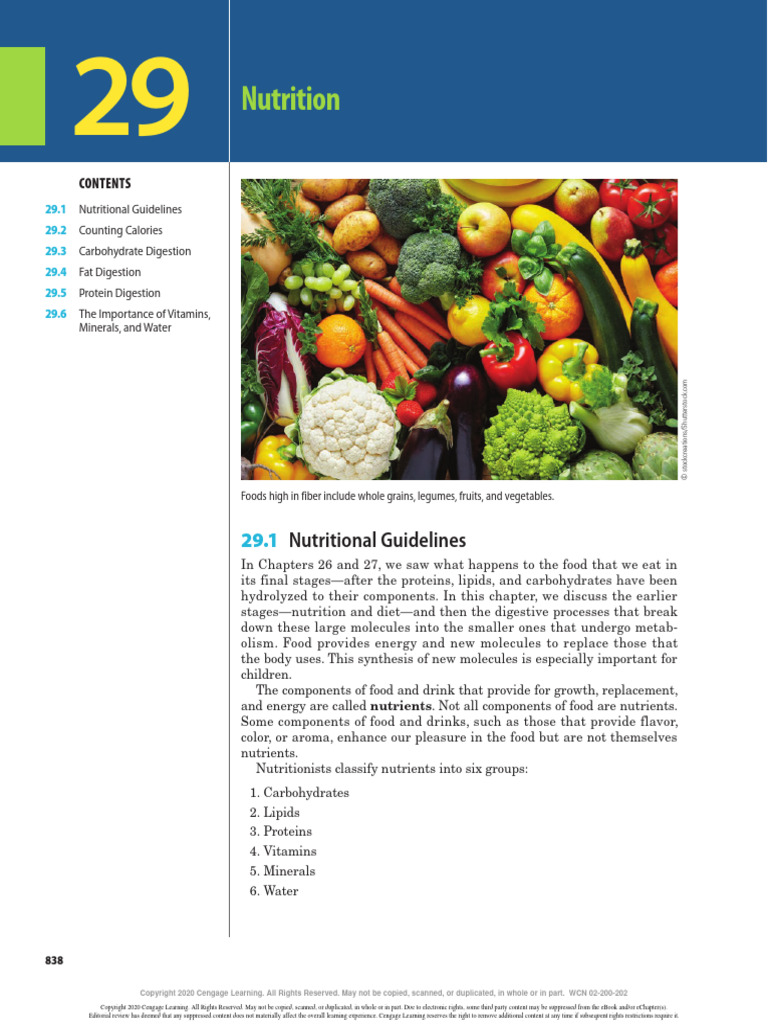 Lesson 3 Nutrition | PDF | Foods | Obesity