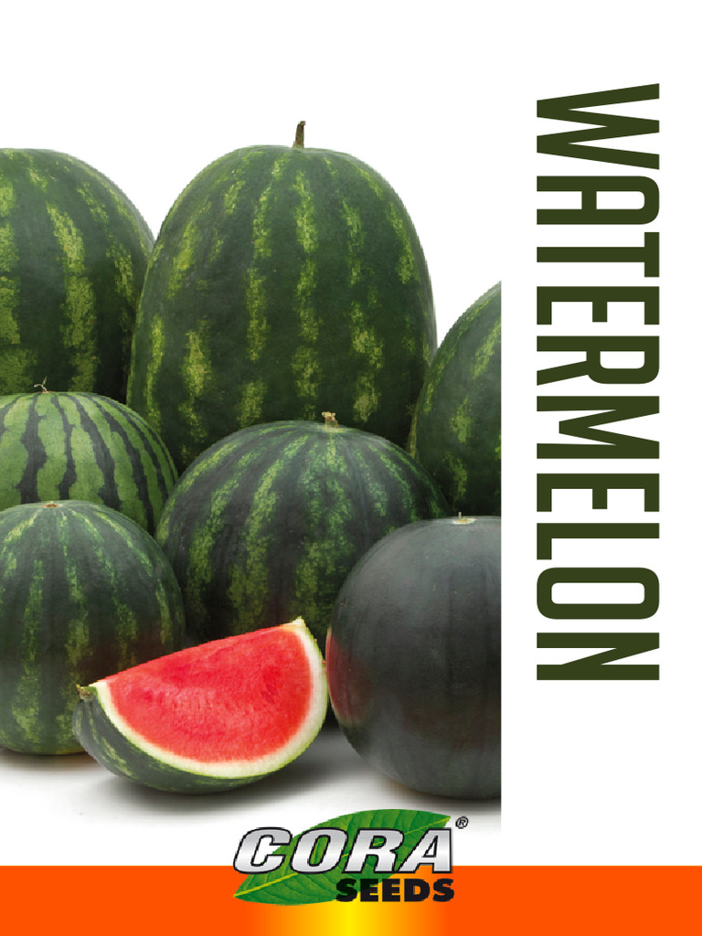 Cora Seeds Watermelon Varieties Overview | PDF | Watermelon | Pollination
