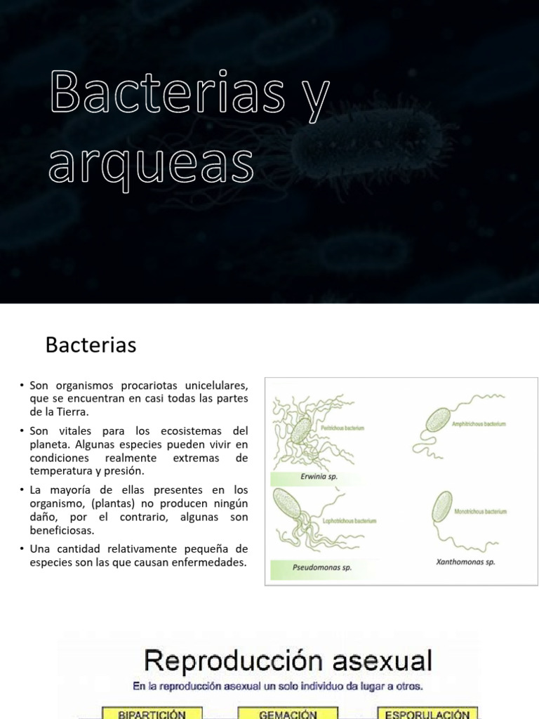 Bacterias y Arqueas | PDF
