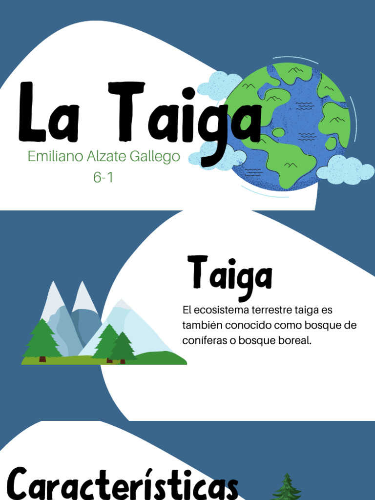 Características del ecosistema Taiga | PDF