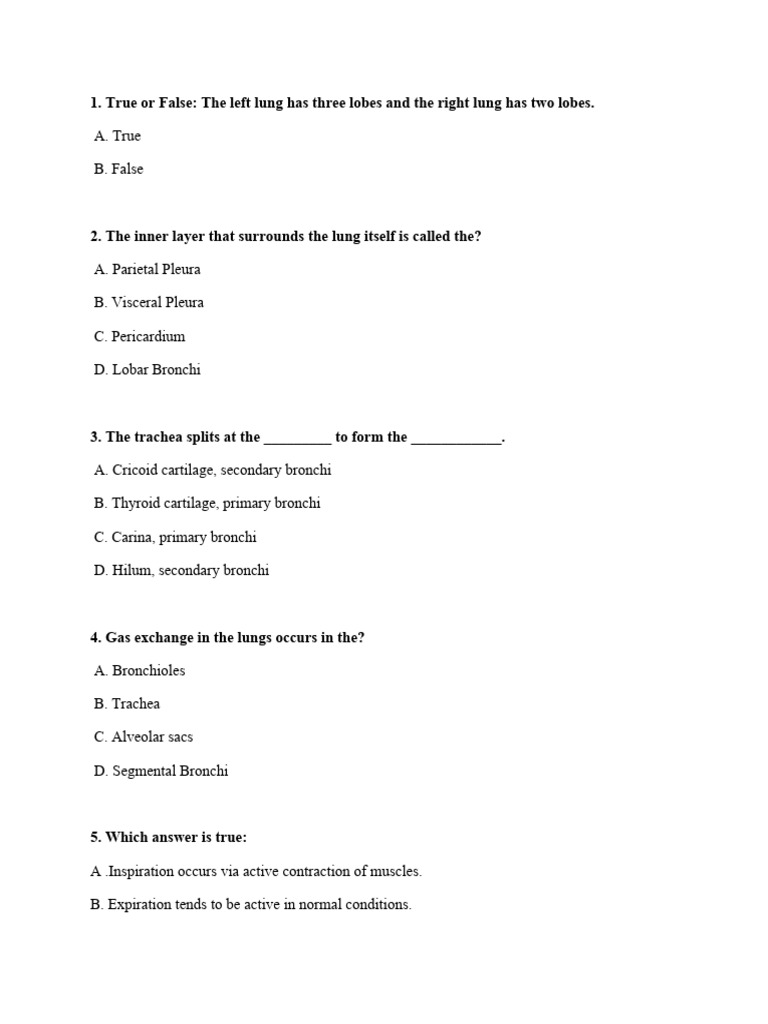 Anatomy And Physiology Of Respiratory System Quiz Pdf Lung