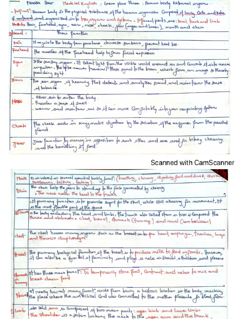 Human Body External Organs | PDF