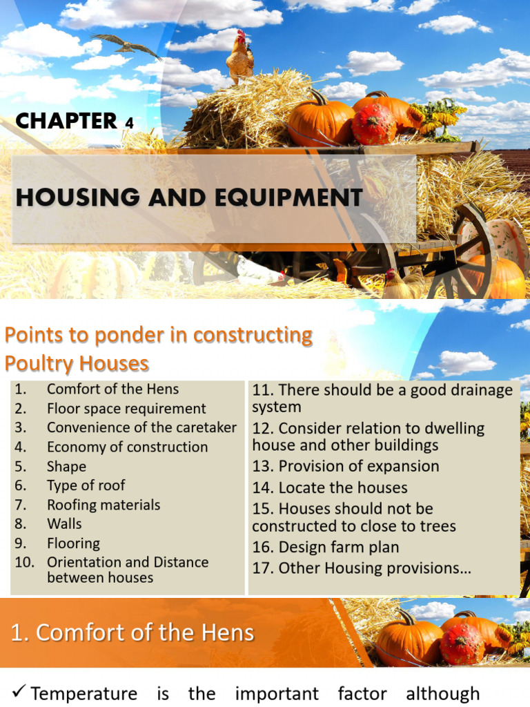 Chapter 4 To Broiler Production | PDF