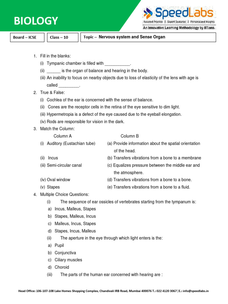 Sense-Organs Important-Qs Important-Questions | PDF