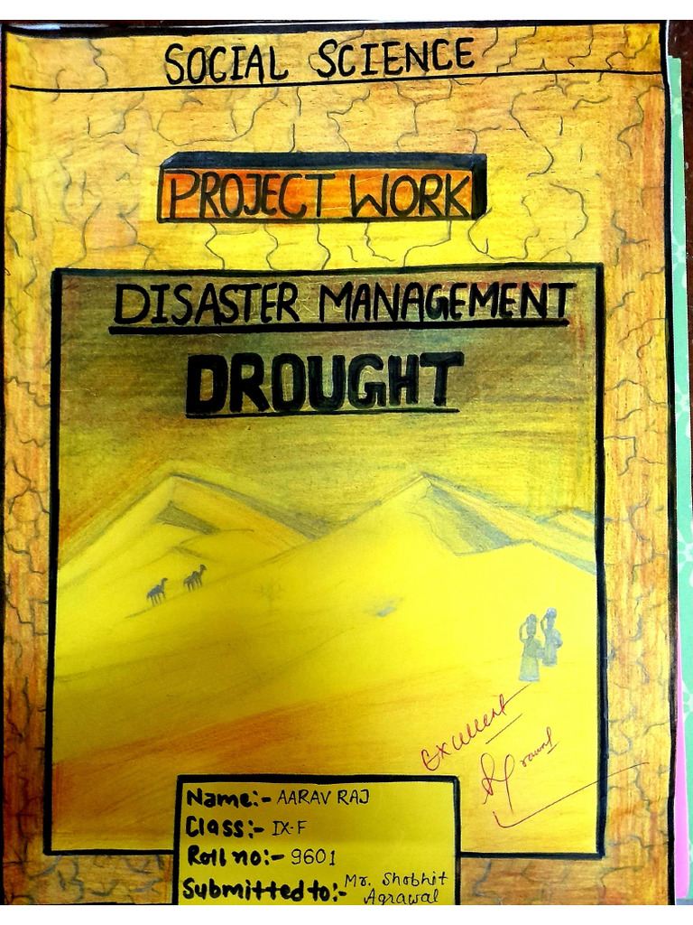 Social Science Sample Project Work | PDF