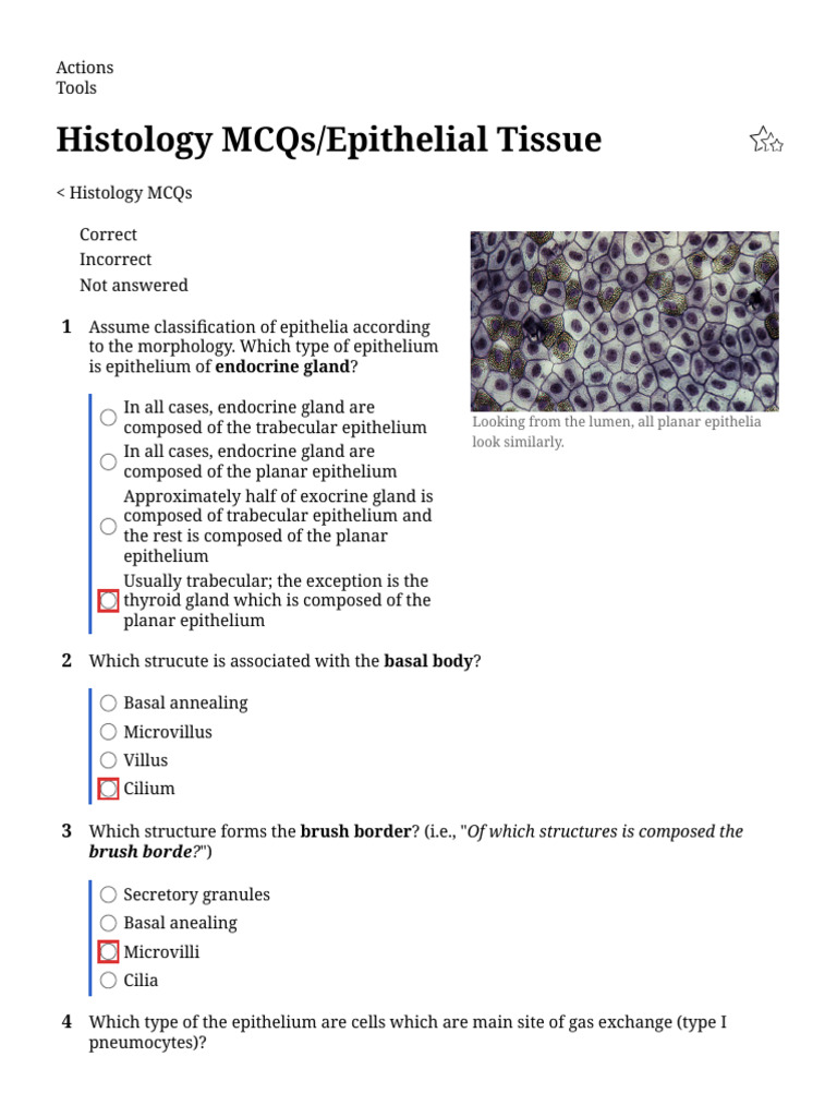 Histology MCQs - Epithelial Tissue - WikiLectures | PDF | Histology ...