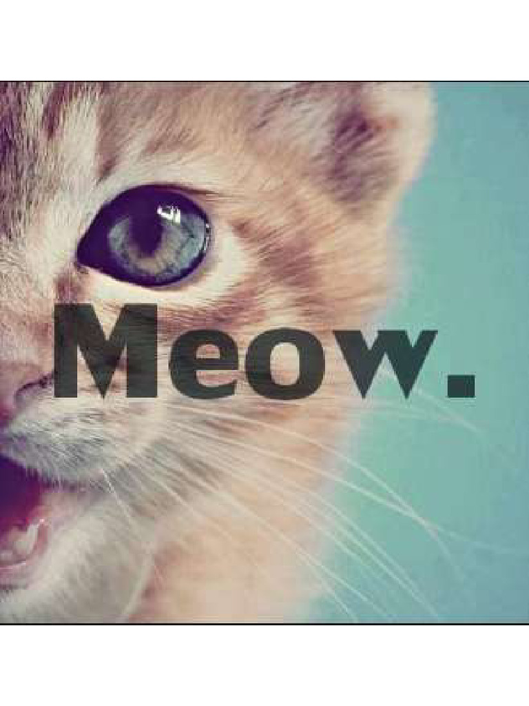 Meow | PDF