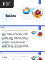 Estrutura e Função do Núcleo Interfásico | PDF | Núcleo celular | Histona