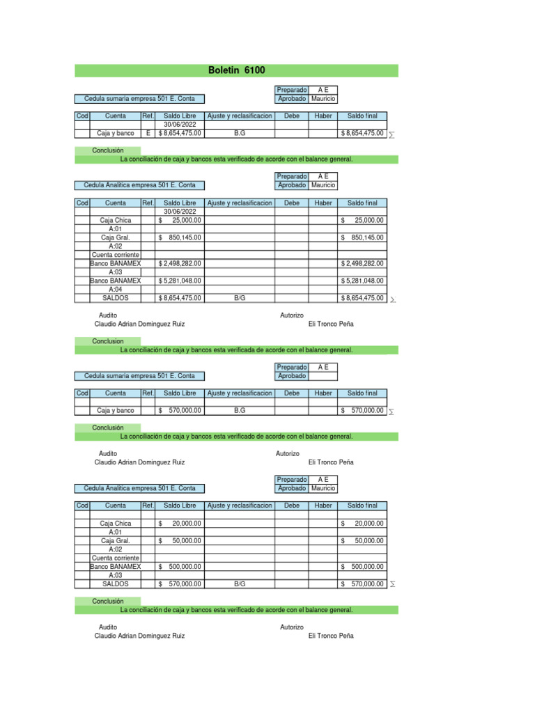 Cedulas de Auditoria | PDF | Business | Negocios económicos