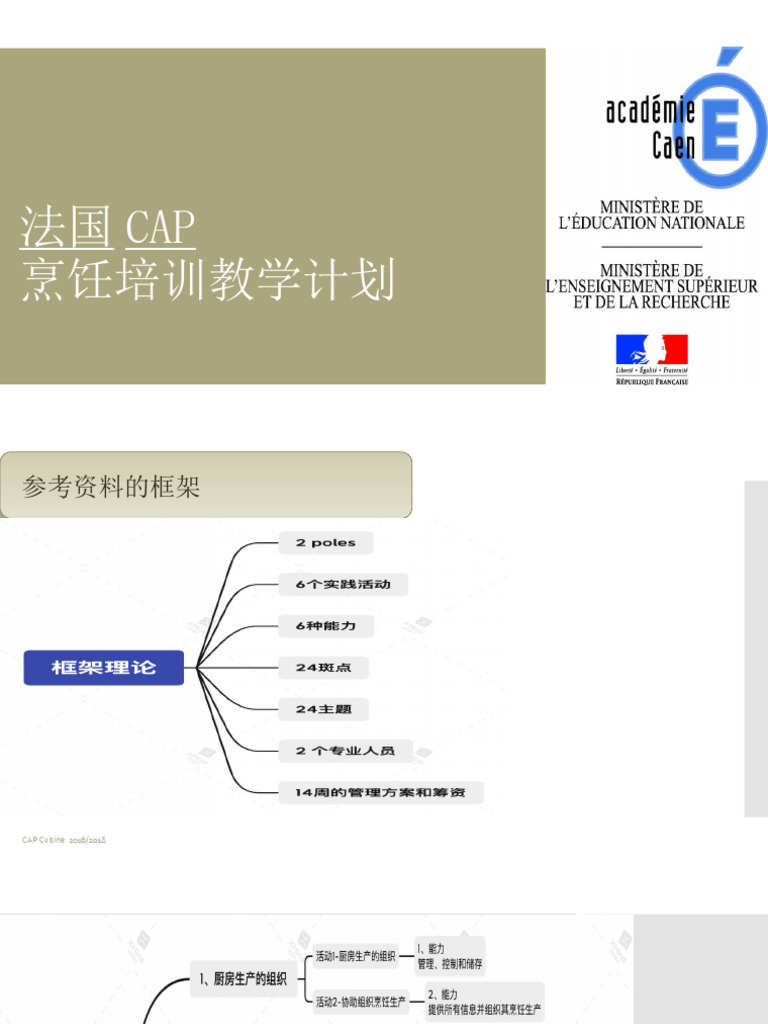 Presentation CAP (中文） | PDF