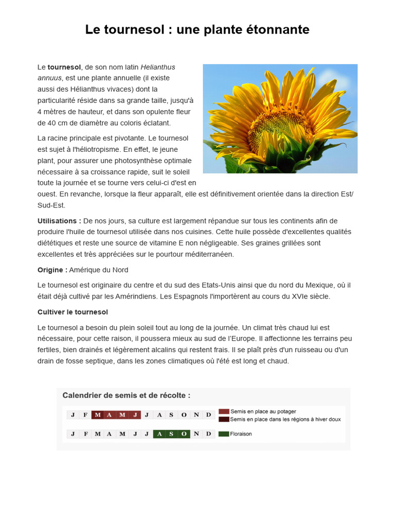 Cultiver et apprécier les plantes | PDF | Poivron | Banane