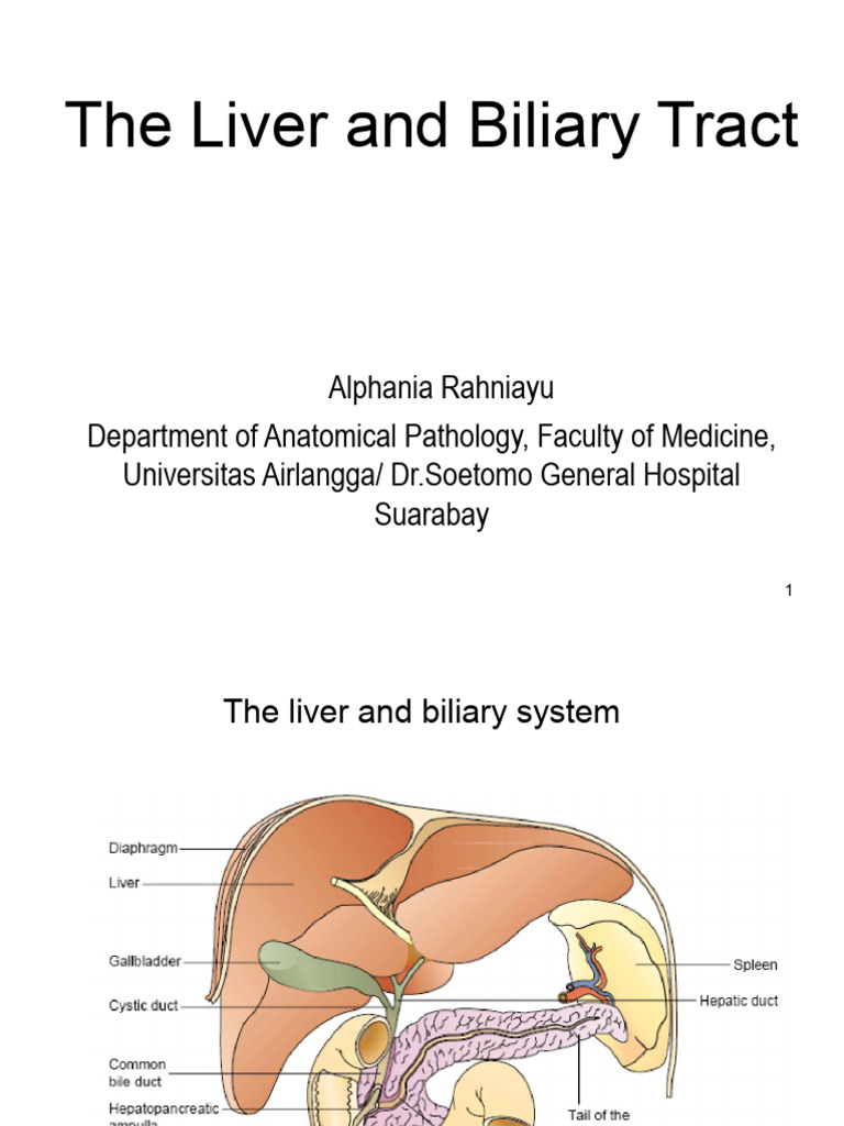 Liver, Biliary Tract and Pancreas Pathology | PDF | Cirrhosis | Liver